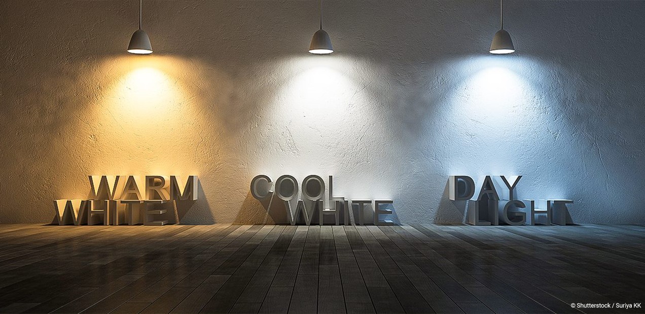 Lichtlösungen: Zusammenspiel von Licht und Organismus