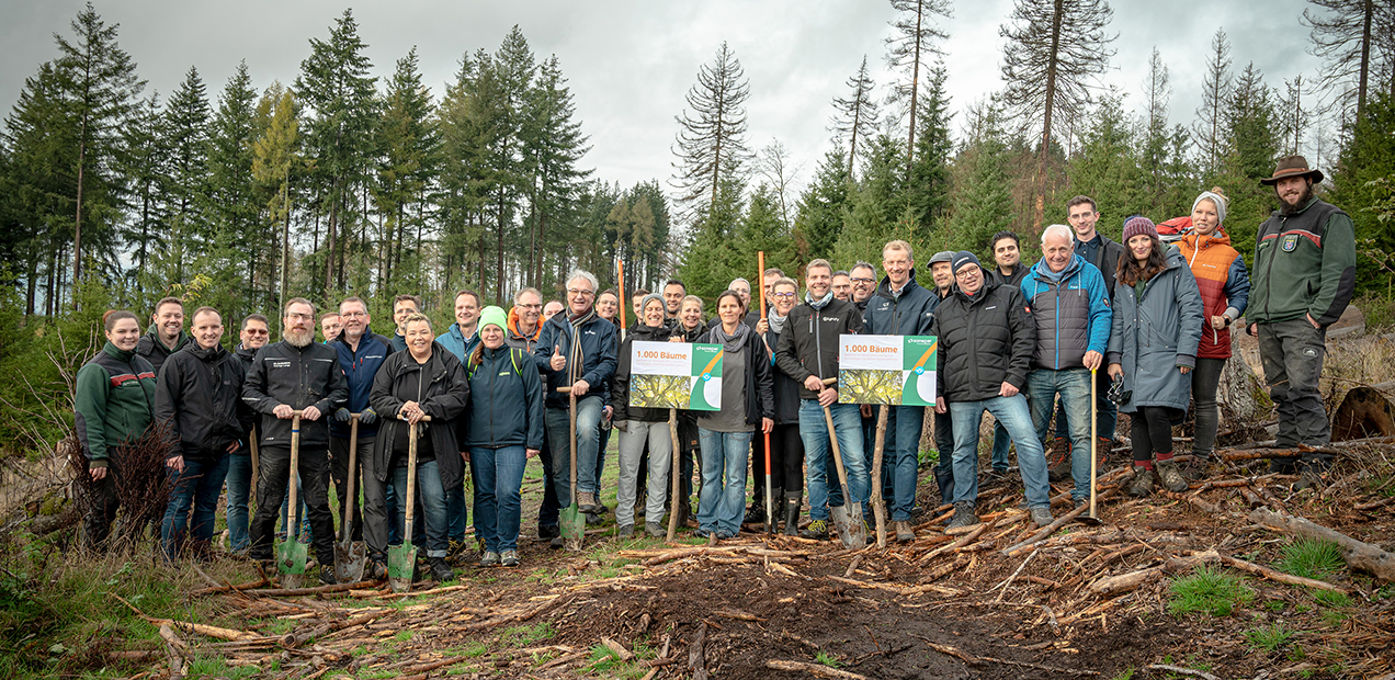 Baumpflanzaktion für den Klimaschutz | Sonepar-Blog